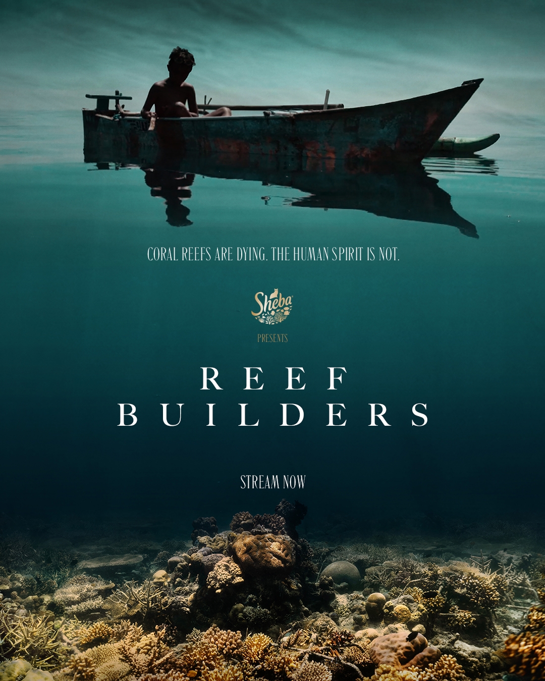 The Sheba Hope Grows™ program gives an inside look at coral restoration efforts with new “Reef ...